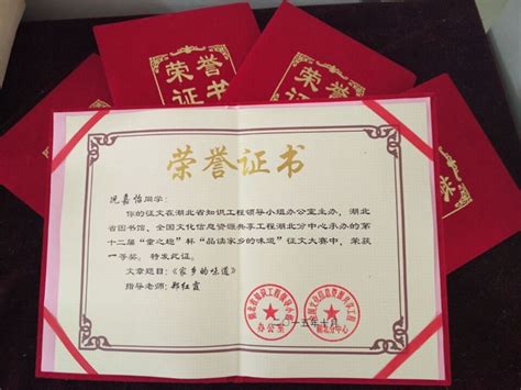 全省征文大赛中孝感市图书馆小读者获佳绩