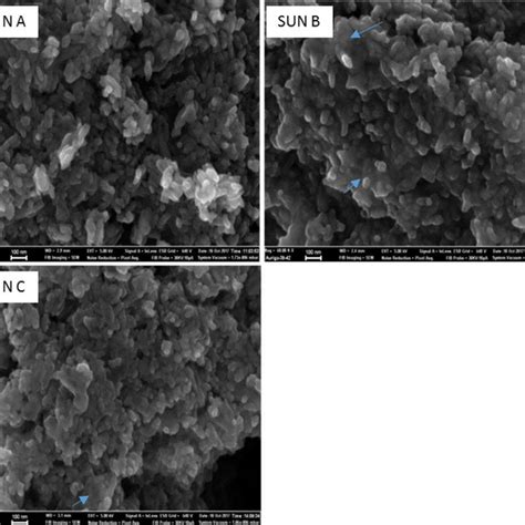 Ftir Analysis Of Titanium Oxide Nanoparticles Download Scientific
