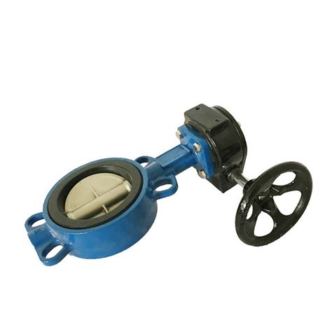 China Water Control Ductile Iron Wcb CF8 Di Ci Disc Wafer Lug Flange