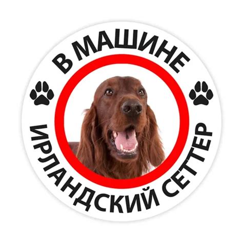 B0280 101315 Cm Irish Setter In The Car Self Adhesive Decal Car