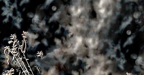 Niraj Kumar Album On Imgur