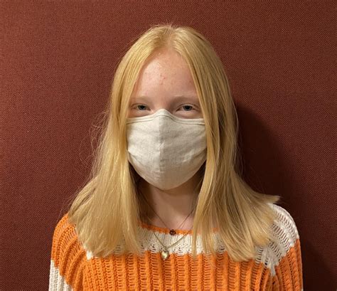 Opinions On New Hybrid Learning Model Emerge The Rubicon