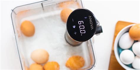 anova sous vide chart - Keski