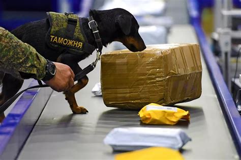 Список Запрещенных Товаров с АлиЭкспресс в России 2025 года