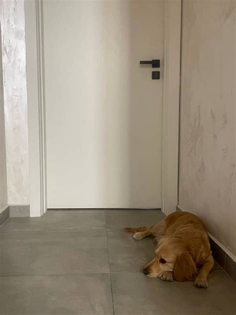 Georgi Zahariev On Linkedin През изминалия месец бях лектор на обучението Основи на инвестициите…