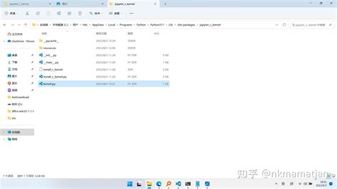 Windows 11 下jupyter Lab 安装 Jupyter C Kernel 知乎