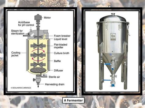 Penicillin Fermentation Process Industrial Production Of Penicillin