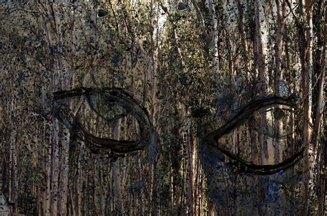 Глаза в лесу (Много фото!) - treepics.ru