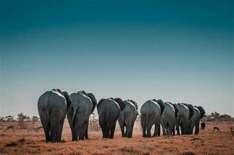 Setting Up Postgresql Ha And Cross Cluster Replication Using Zalando