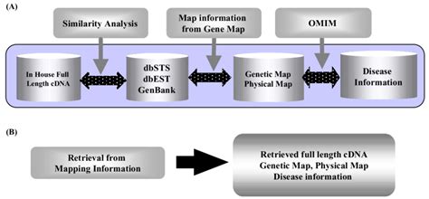 Overview Of Mapping Annotation System A Relations Between Data B