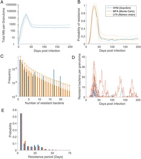 Multifidelity Analysis Validation Against Hf Model Results Each Panel