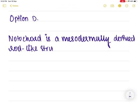 Solved Notochord Is Derived From Which Layer A Ectoderm B Mesoderm