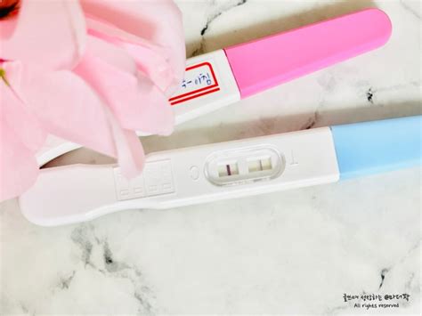 임신테스트기 사용시기 생리 전후 저녁 아침 얼리 임테기 사용법 네이버 블로그 임신테스트기 사용시기 생리 전후 저녁 아침 얼리 임테기 사용법 네이버 블로그