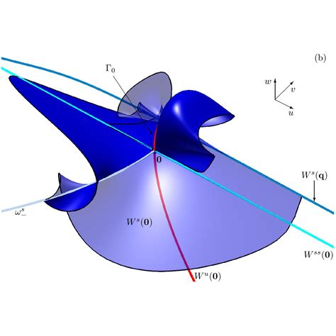 Orientable And Non Orientable Invariant Manifolds