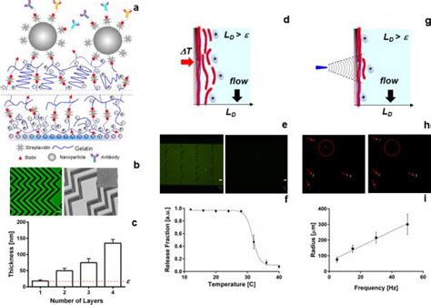 Tunable Nanostructured Coating For The Capture And Selective Release Of