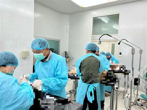 热烈祝贺bluesao佰陆在泰国诗威猜国立大学成功举办第二期脊柱实操培训班 Bluesao®佰陆