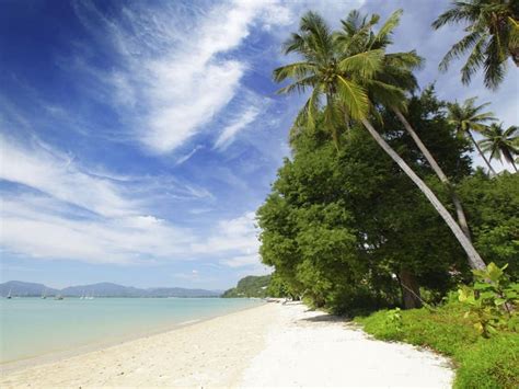 Sub-Tropics – Ametalin