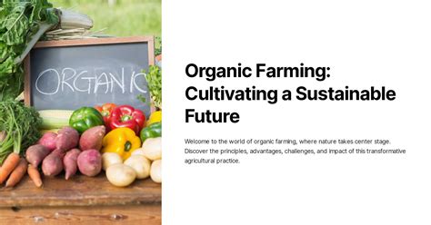 Organic Farming Cultivating A Sustainable Future