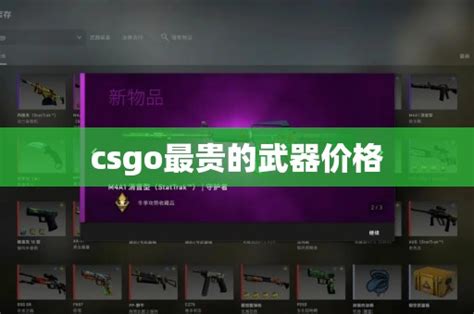 Csgo最贵的武器价格 Cs2知识库 Csgo攻略基地