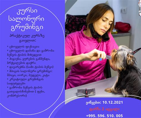 კურსზე დამატებითი ინფორმაციის Vet House ვეტ ჰაუსი