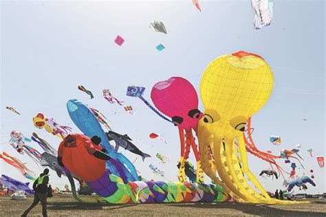 Kites Rise To Festive Occasion Chinadaily Cn