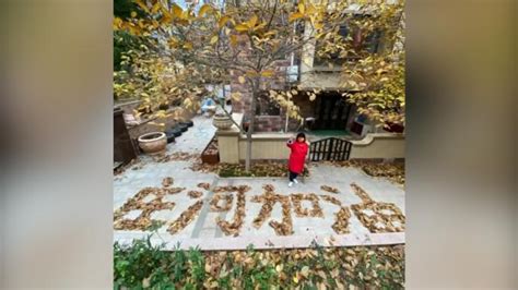 市民用落叶扫出“加油”字样，为家乡抗击疫情鼓气凤凰网视频凤凰网