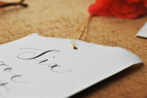 Modern Calligraphy Tutorial Suspended Flower Wedding Seating Pl