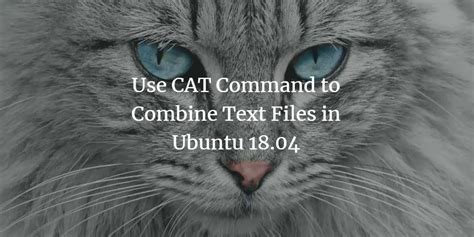 Use CAT Command To Combine Text Files In Ubuntu 18 04 VITUX
