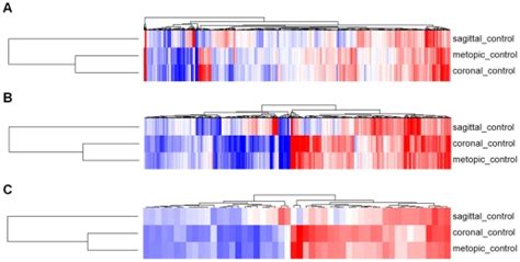 Heatmaps With 2 Dimensional Hierarchical Clustering Were Generated For Download Scientific