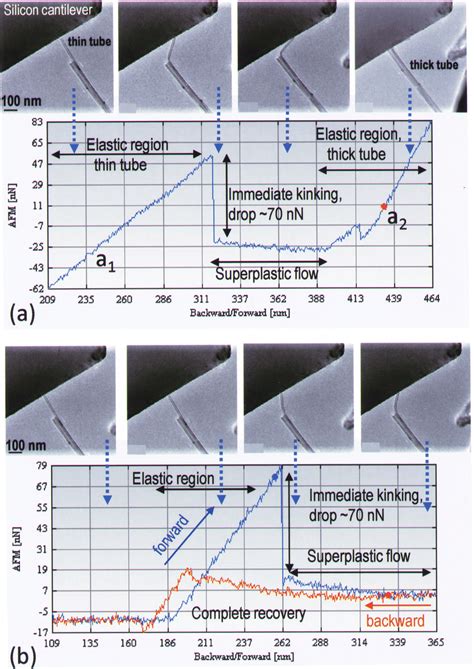 A A Bending Experiment Using The Afm Tem Holder On An Individual Thin Download Scientific