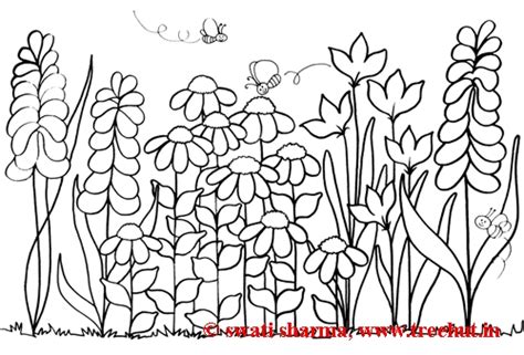 Garden Coloring Pages