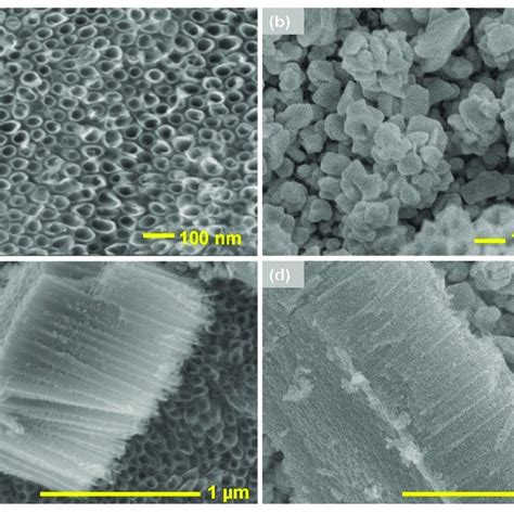 Xrd Patterns Of Titanium Dioxide Nanotubes Before And After Thermal Download Scientific Diagram
