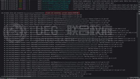 关于nginx Nacos2 0以上版本微服务启动报错‘client Not Connected Current Status Starting问题 若依启动client Not