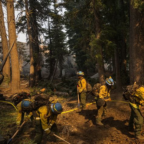 How Much Do Firefighters Make In Ca Finance Careers And Finance