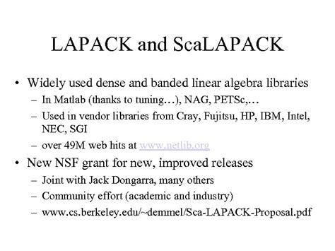 The Future Of Numerical Linear Algebra Automatic Performance
