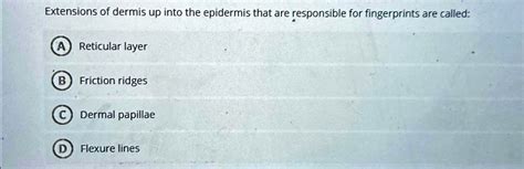Solved Extensions Of Dermis Up Into The Epidermis That Are Responsible For Fingerprints Are