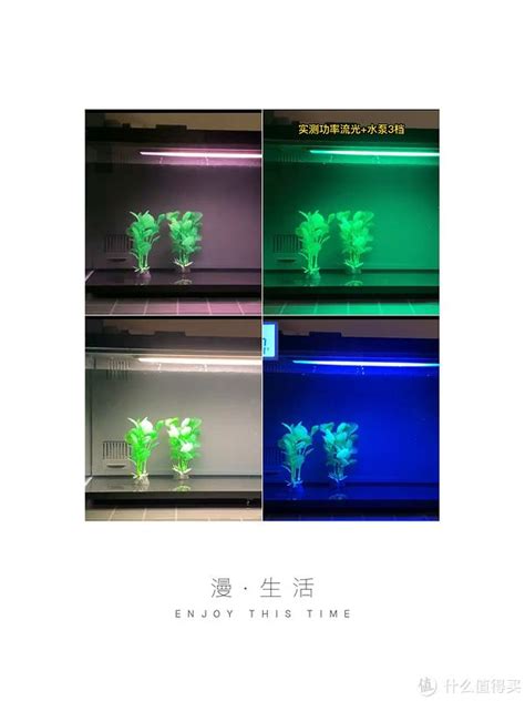 科技鱼缸，智商税？小米智能鱼缸详细使用体验过滤小米新浪新闻