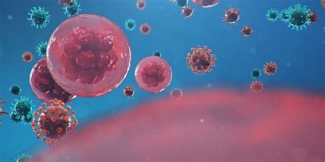 Synovial Sarcoma Treatment News185