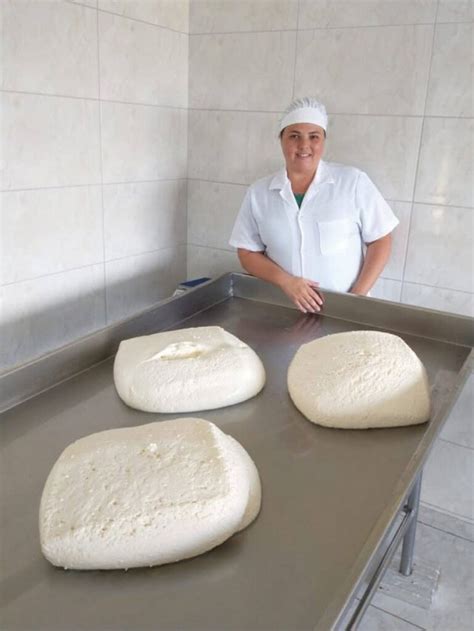 Rota Do Queijo Valoriza Produção Paranaense Sou Agro