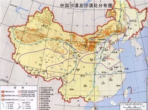 中国震撼黑科技：加点胶水，沙漠变良田 知乎