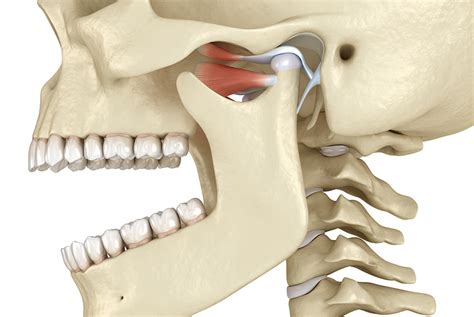 Tmj And Jaw Pain Snyder Chiropractic Centers