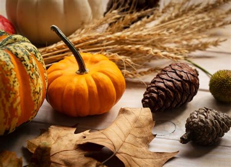 Thanksgiving Greeting Examples