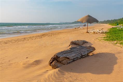 Sunny Day At Bentota Beach At Sri Lanka Stock Image Image Of Pristine