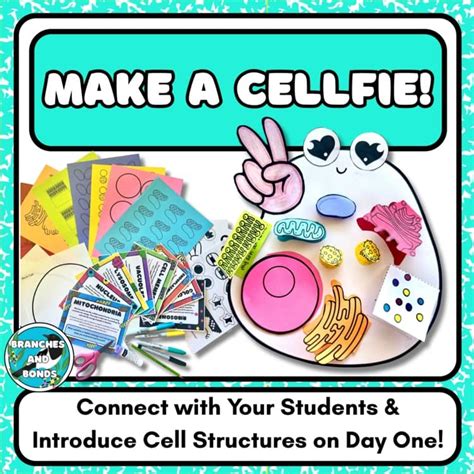 Make A Cellfie Cell Organelles And Functions Analogy Activity Tpt
