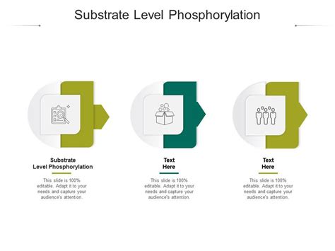 Substrate Level Phosphorylation