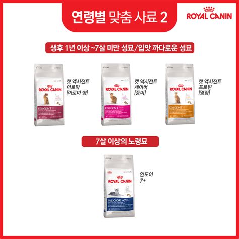 Royal Canin 로얄캐닌 고양이 사료는 연령별 건강 상태별 묘종별로 3개의 카테고리로