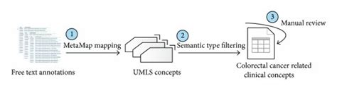 extracting clinical concepts using umls three steps were involved