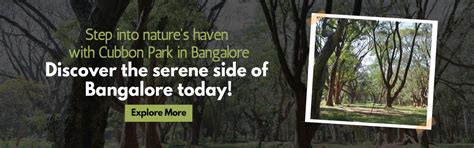A Guide To Cubbon Park In Bangalore