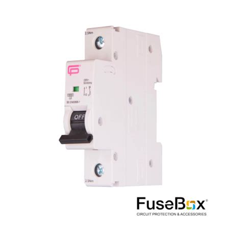 Fusebox 6a Sp Mcb B Type Express Electrical