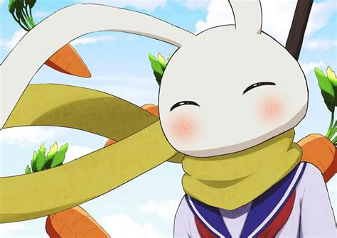 P X Bobopic